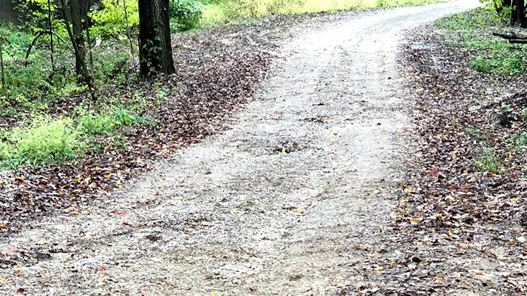 Homepage - Driveway Scraper